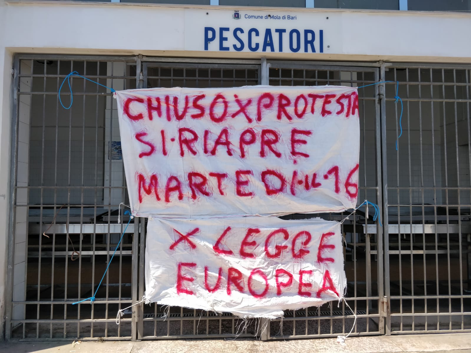 Mola di Bari: mercato del pesce - Noi Notizie.