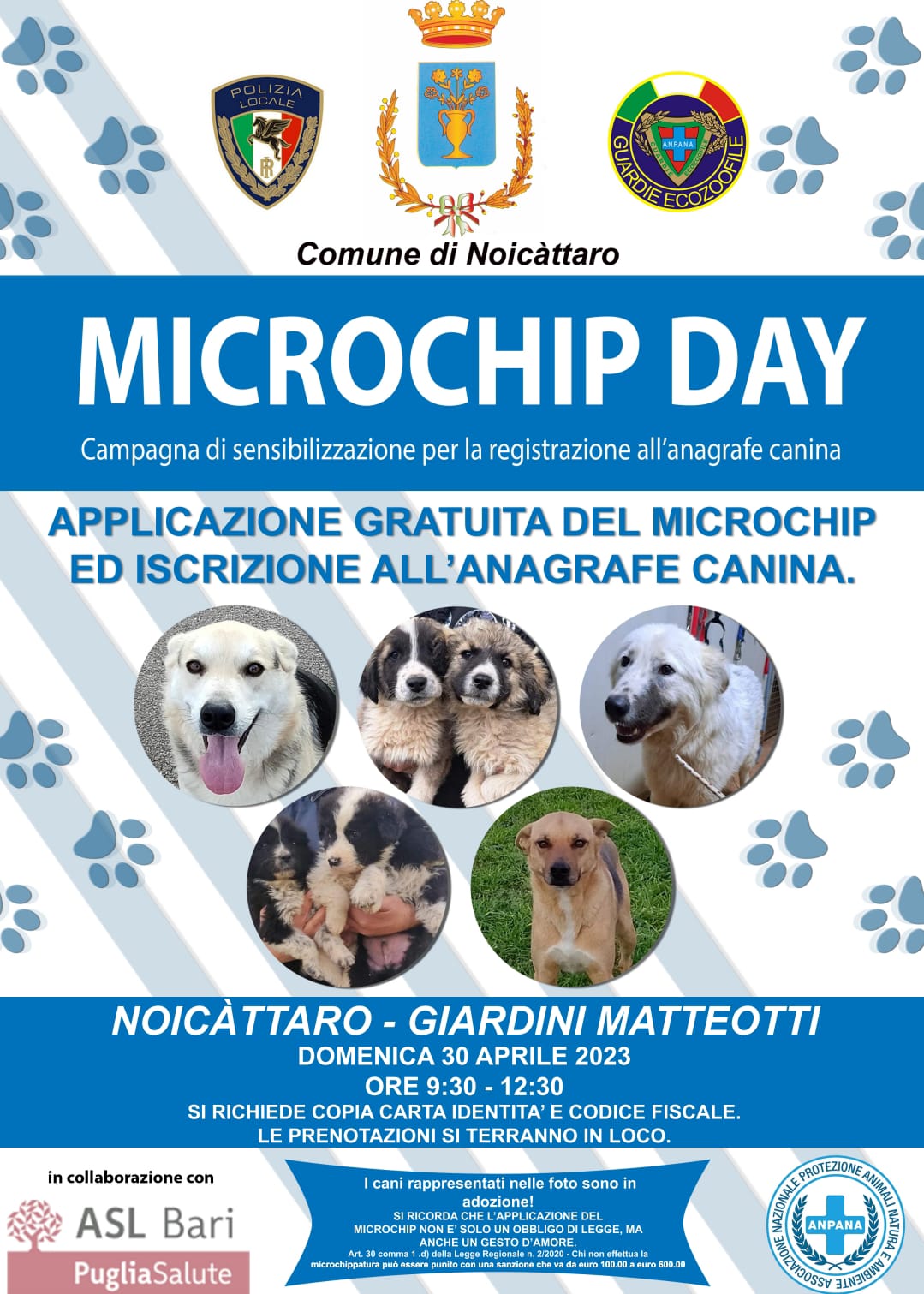 Noicattaro: domenica microchip day per cani e gatti – Noi Notizie.