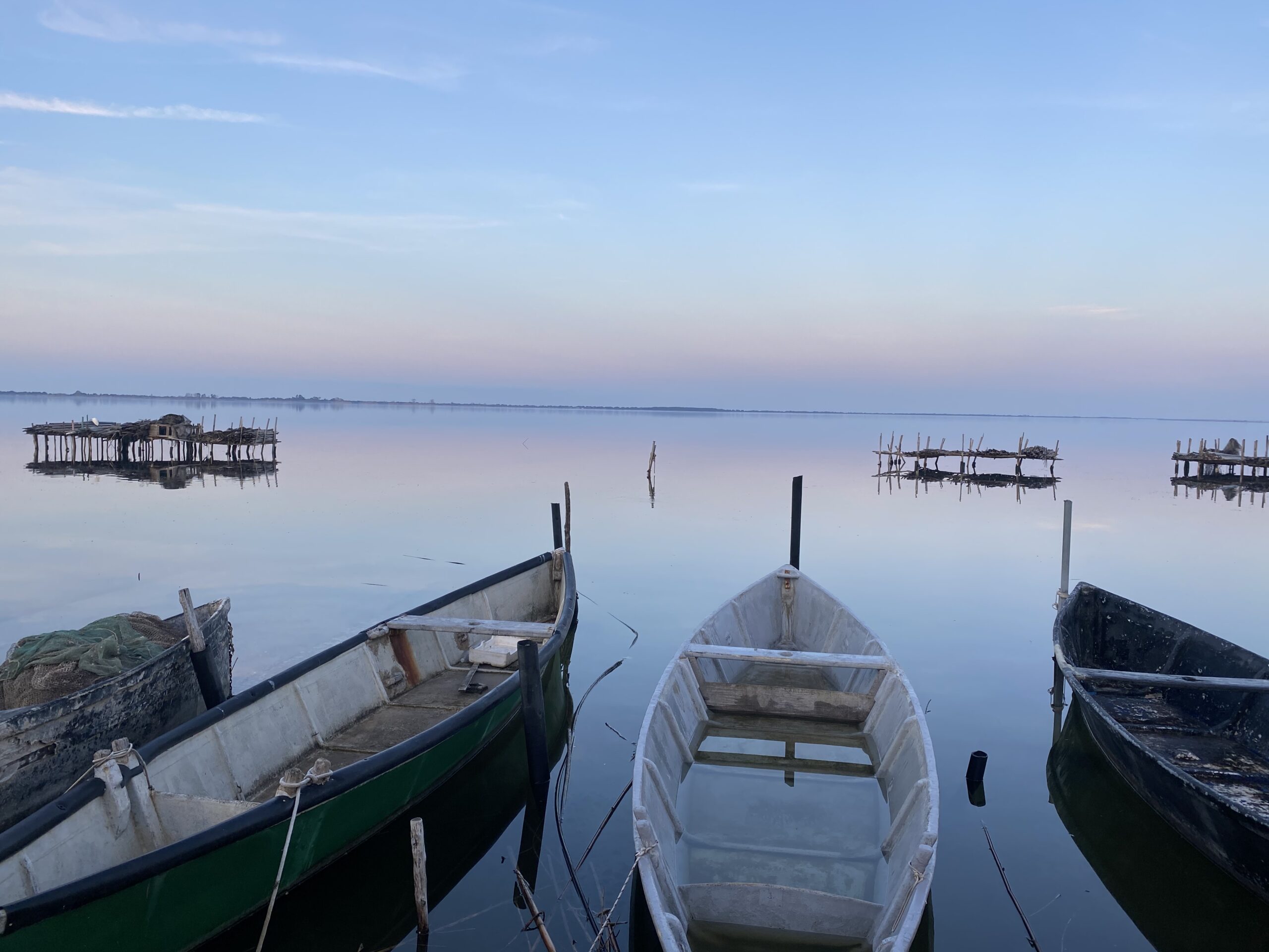 Lagune di Lesina e Varano: risorse per interventi urgenti di ...